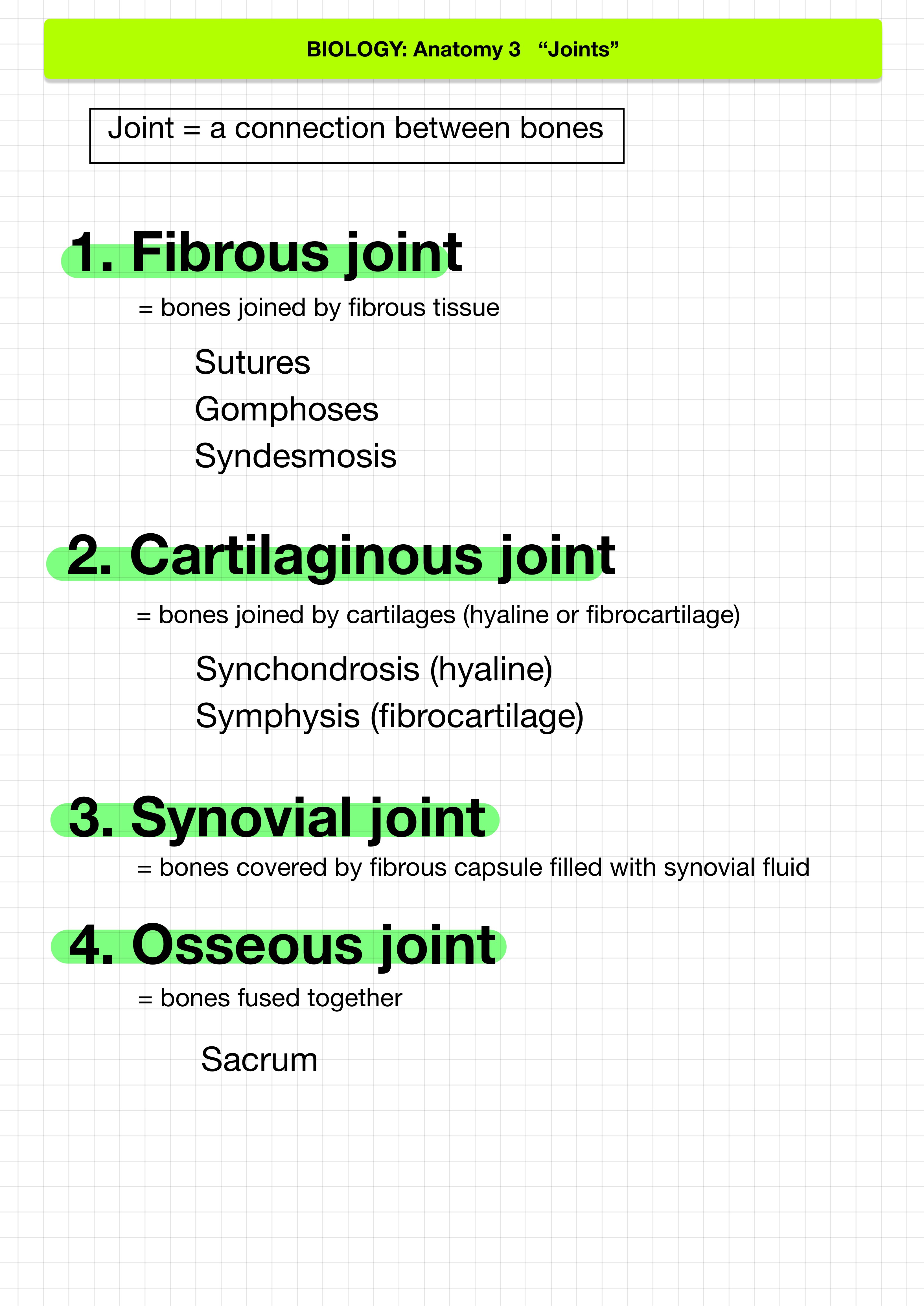 BIOLOGY: Anatomy “Joints” – チェコ医学生 ビーラーラブト
